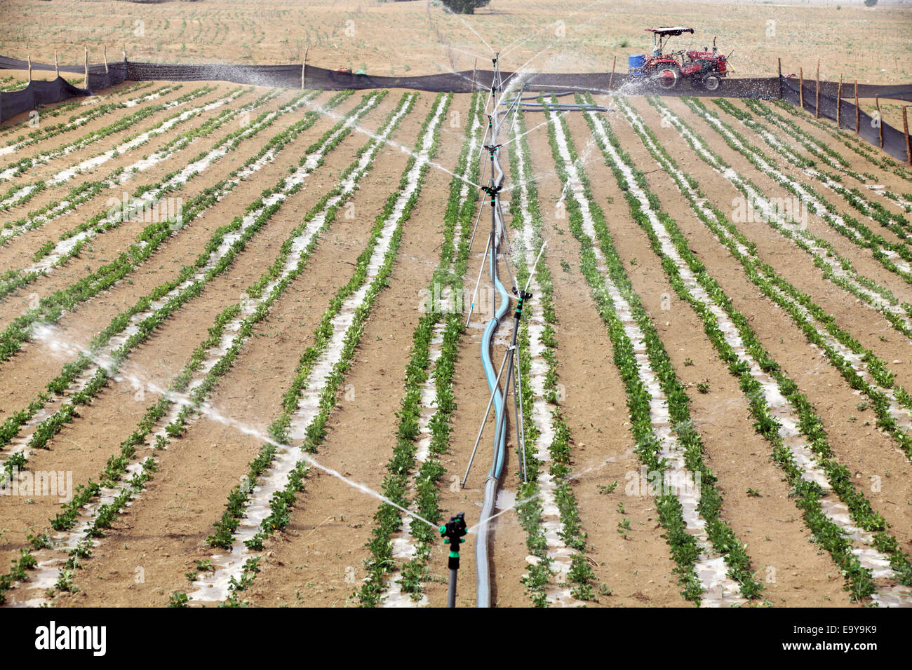 Inner mongolia tree planting desert hi-res stock photography and images ...