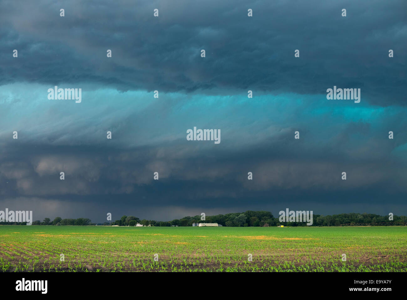 A very severe hail storm with wind driven baseball hail(and larger ...