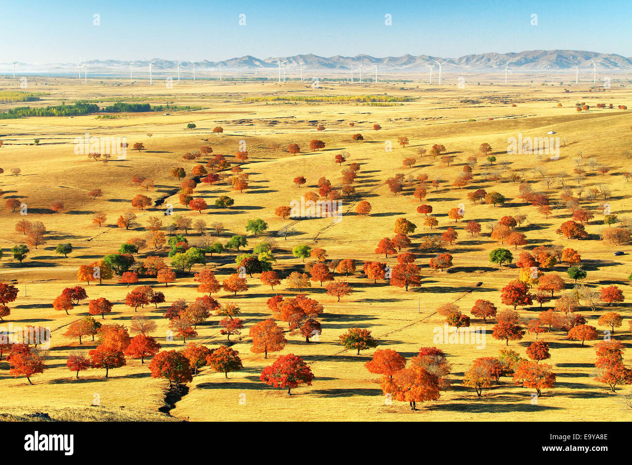 Inner Mongolia scenery Stock Photo - Alamy