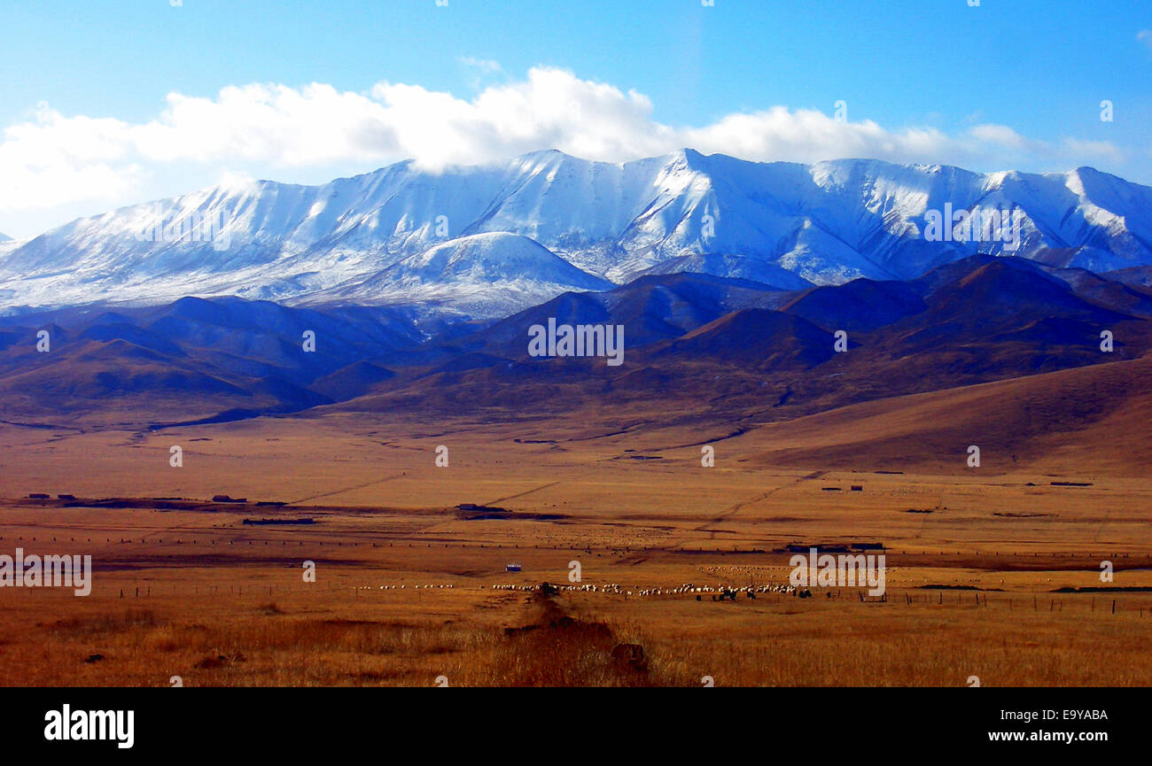 Qilian Mountains in Qinghai Province Stock Photo - Alamy