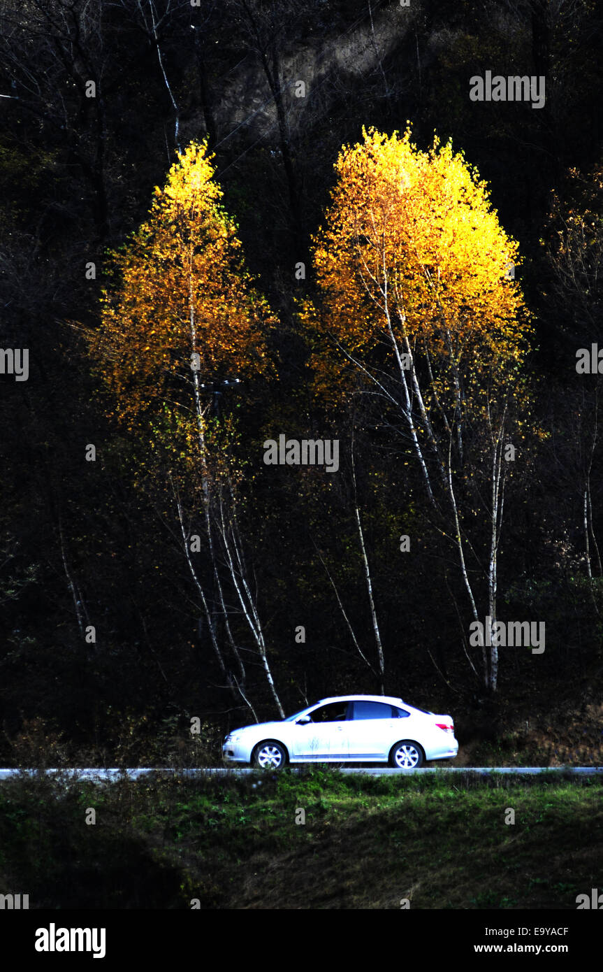 Shaanxi landscape hi-res stock photography and images - Alamy