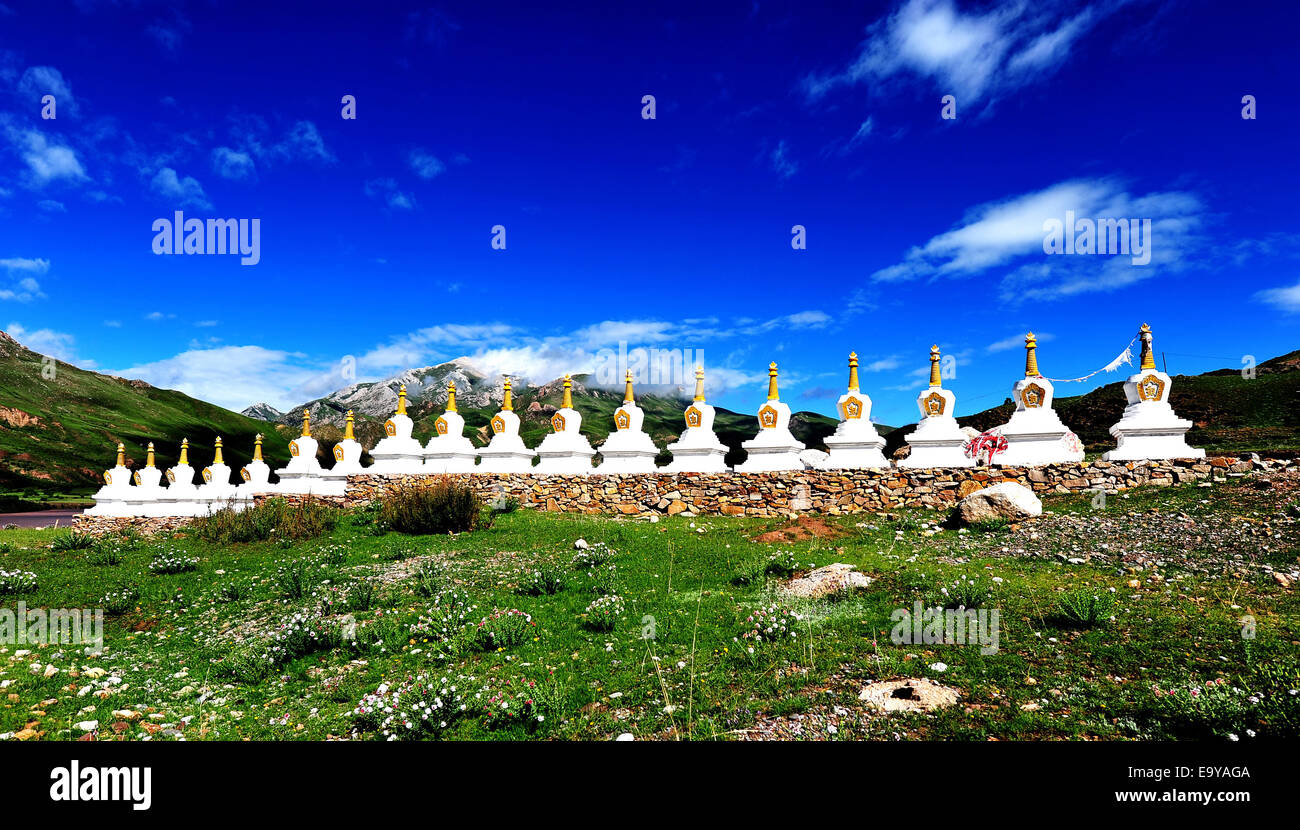 Yushu hi-res stock photography and images - Alamy
