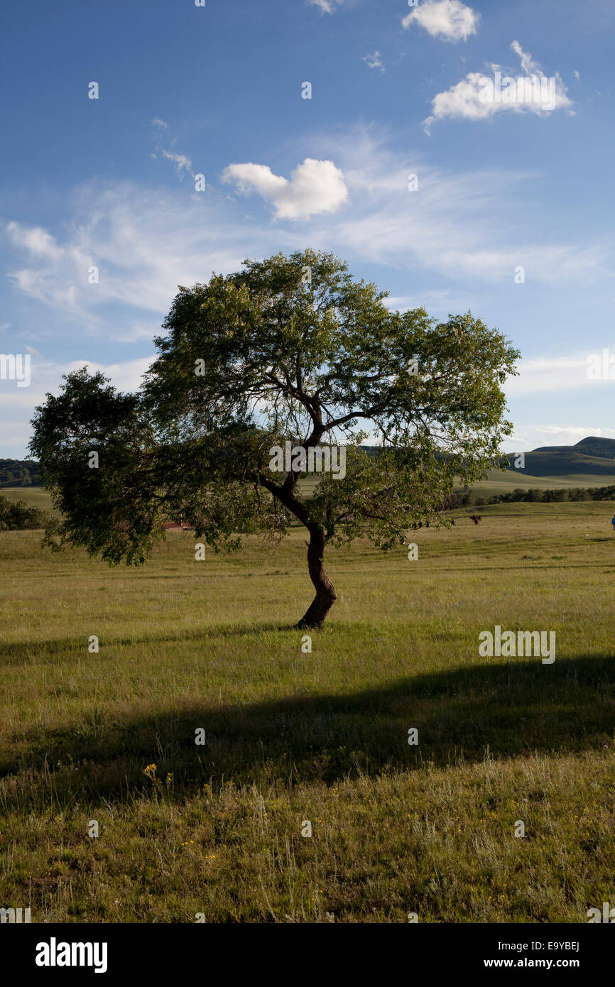 Chengde hebei bashang scenery hi-res stock photography and images - Alamy