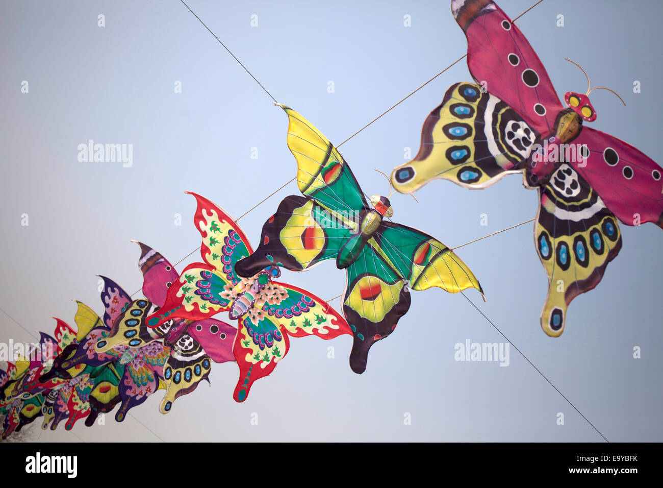 Chinese Butterfly Kites