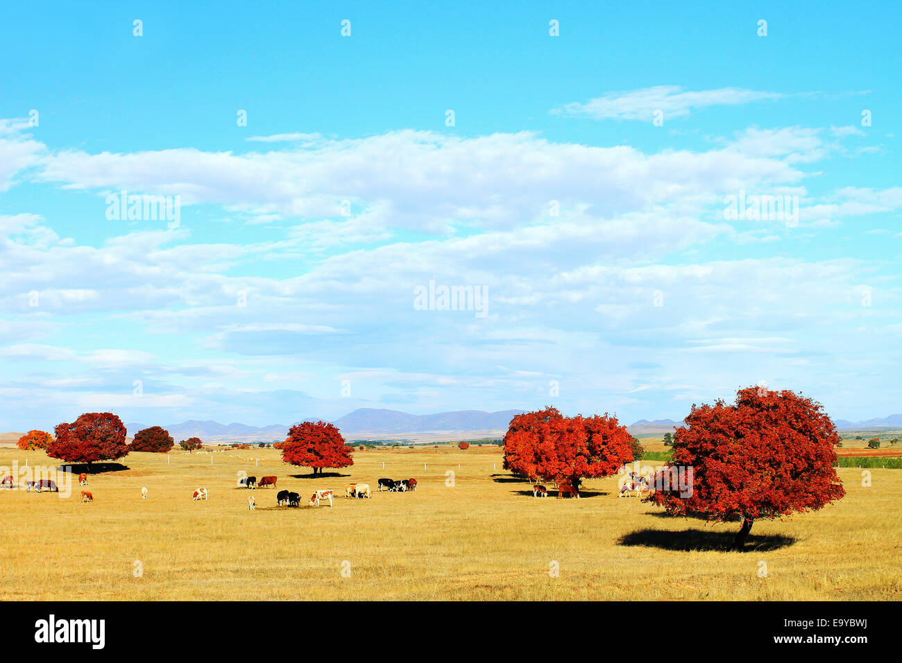 Inner Mongolia scenery Stock Photo - Alamy