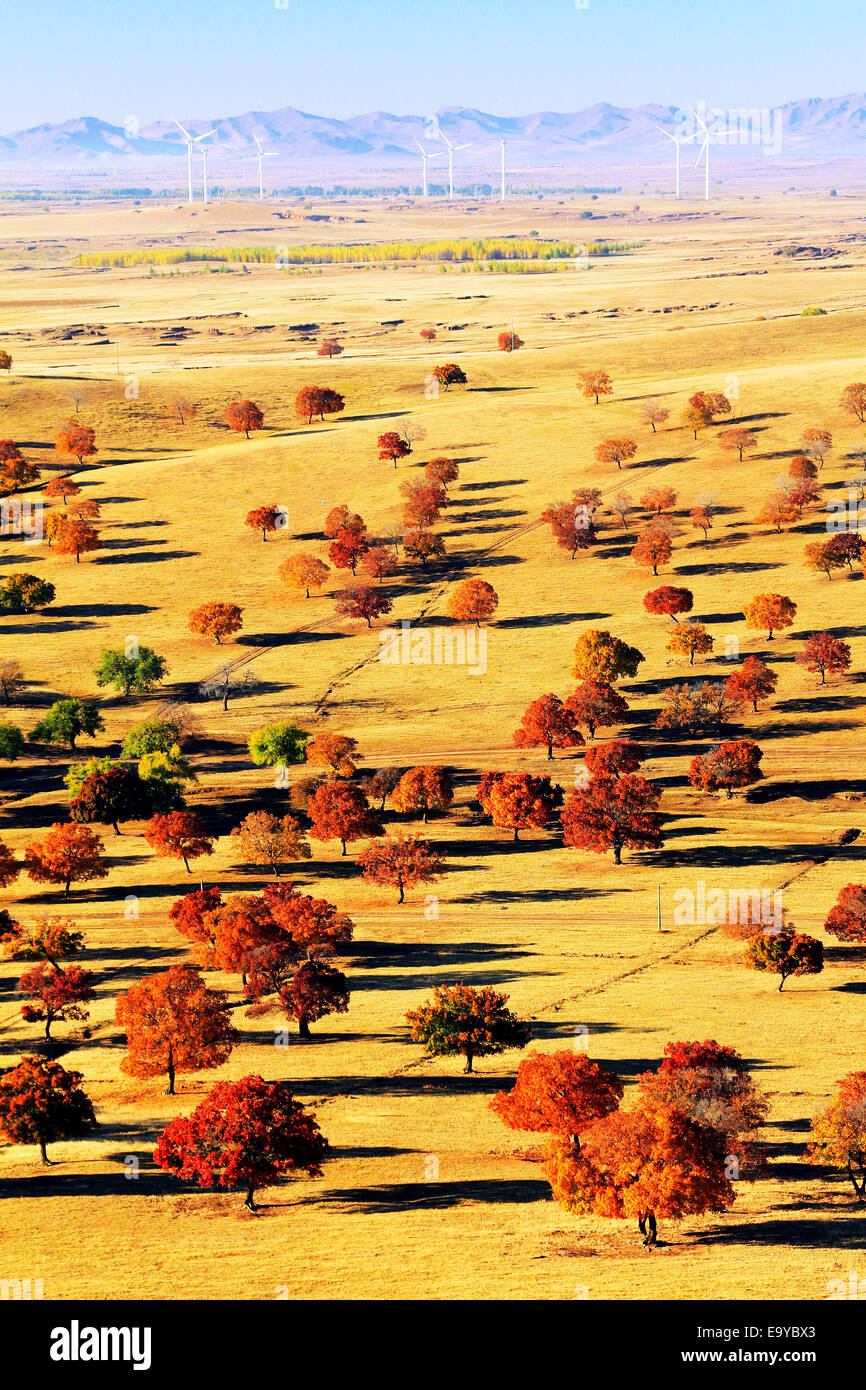 Inner Mongolia scenery Stock Photo - Alamy