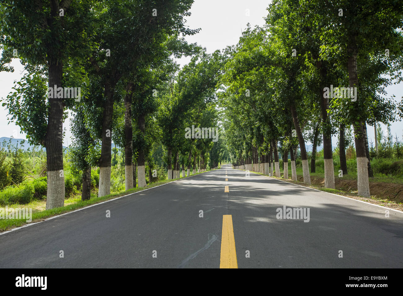Rural roads hi-res stock photography and images - Alamy