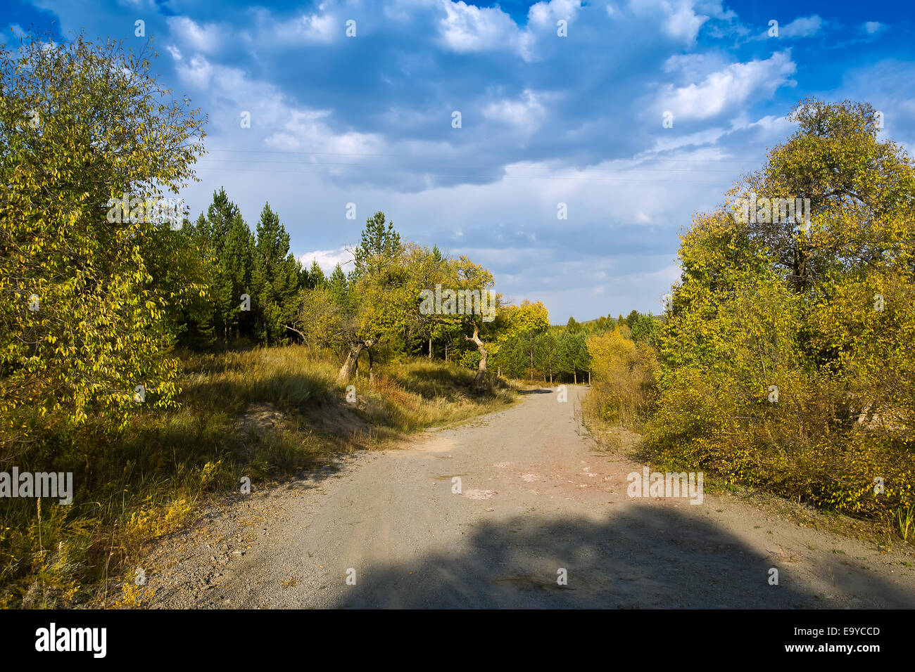 Quiet feature hi-res stock photography and images - Alamy