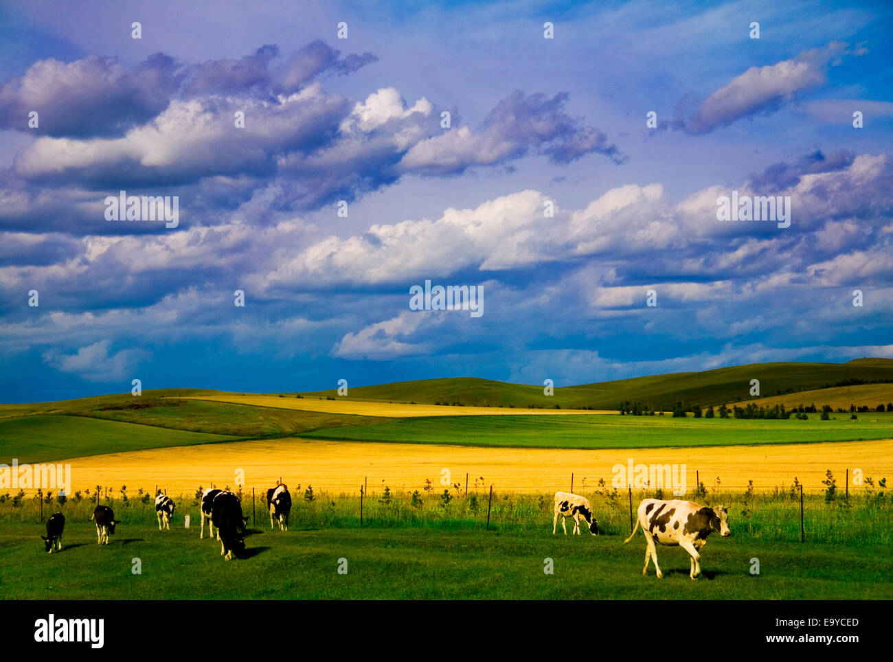 Inner Mongolia scenery Stock Photo - Alamy