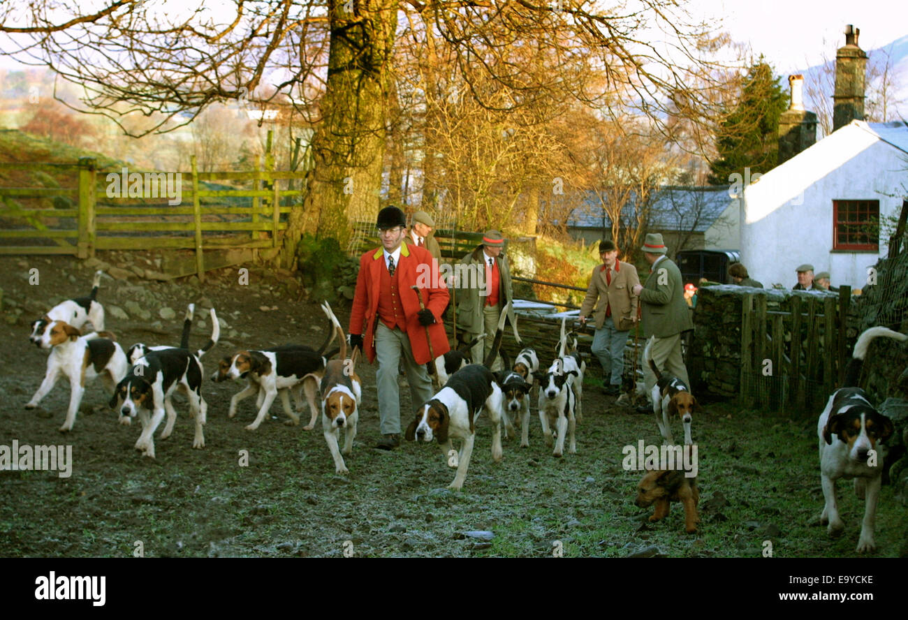 Barry Todhunter, huntsman of the Blencathra pack, which hunted for ...