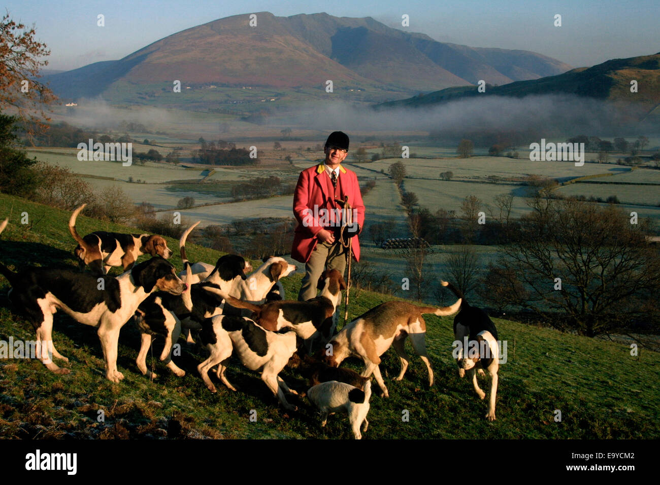 The Blencathra pack, which hunted for foxes in Cumbria using fell ...