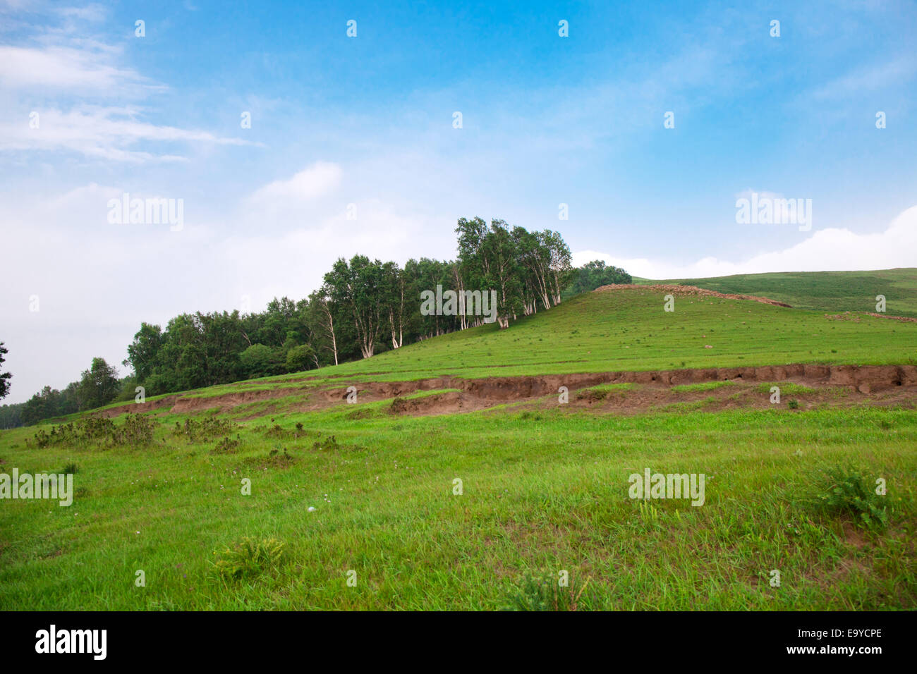 Hebei bashang scenery hi-res stock photography and images - Alamy