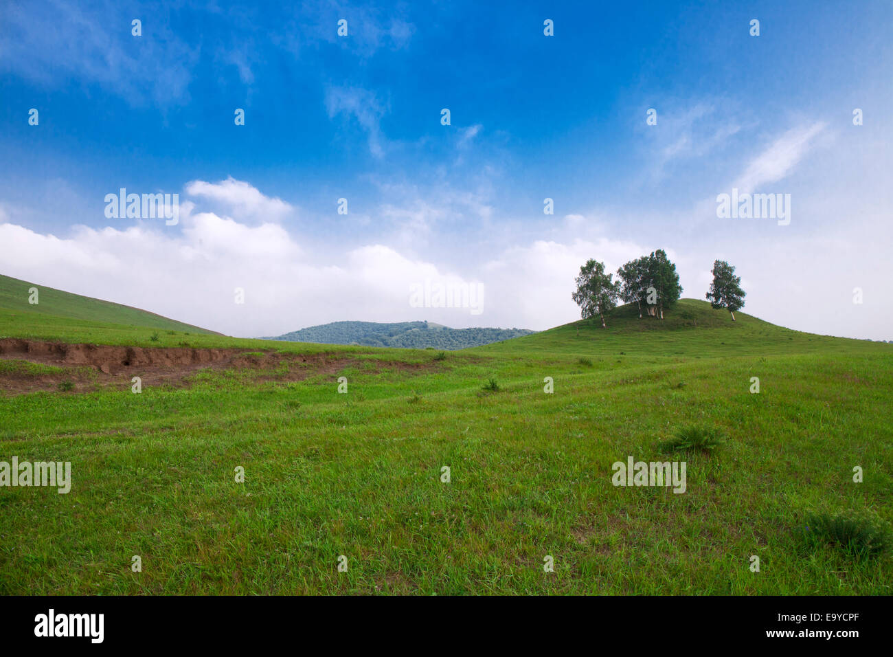 Hebei bashang scenery hi-res stock photography and images - Alamy