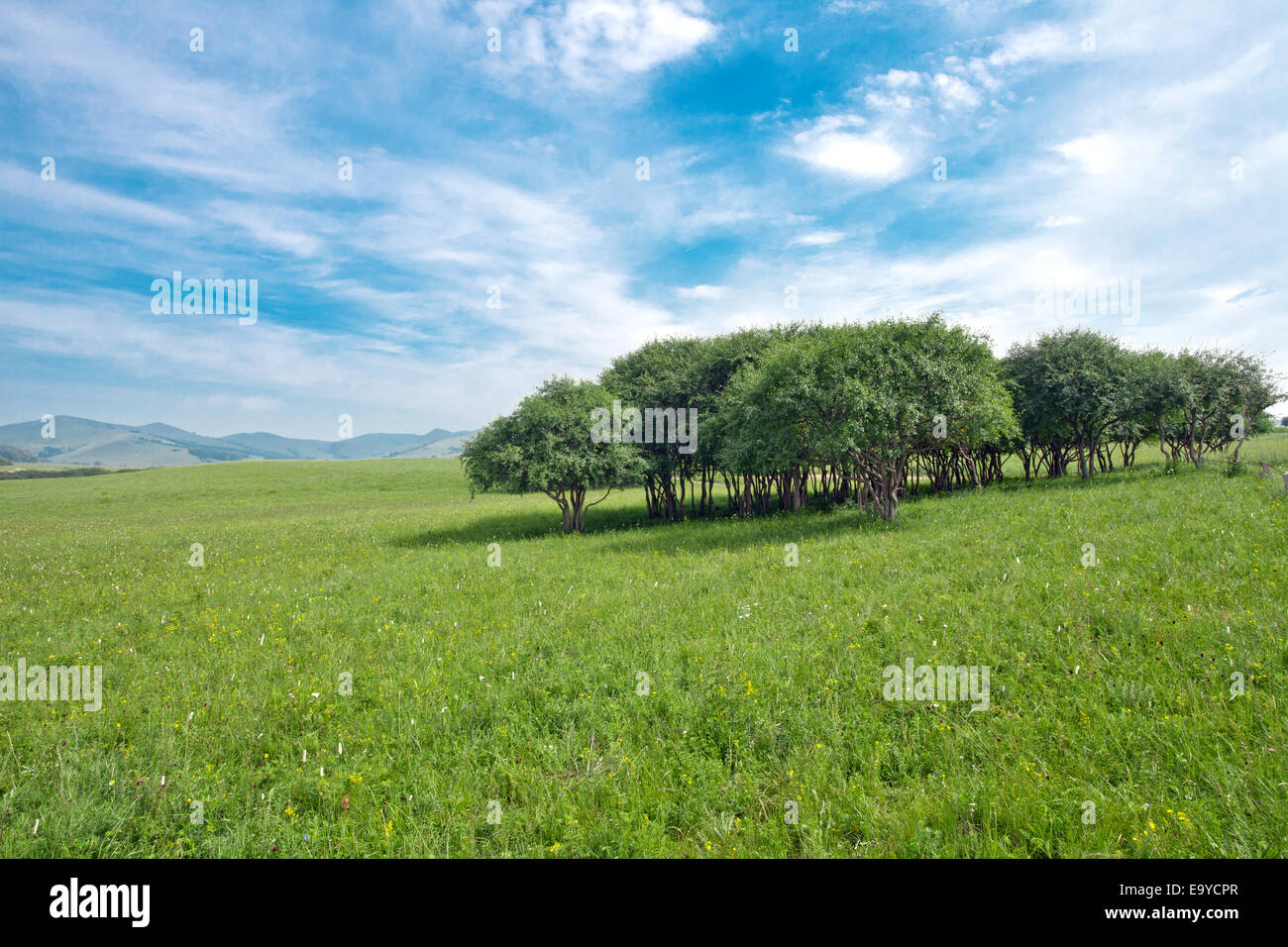 Chengde hebei bashang scenery hi-res stock photography and images - Alamy