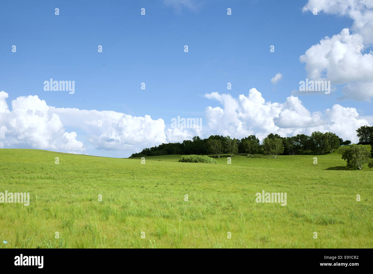 Chengde, Hebei bashang scenery Stock Photo - Alamy