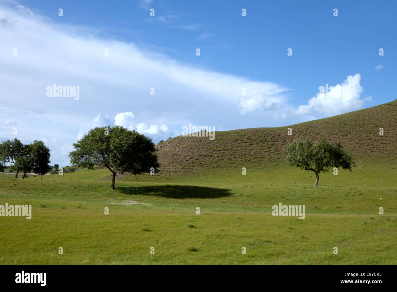 Hebei bashang scenery hi-res stock photography and images - Alamy