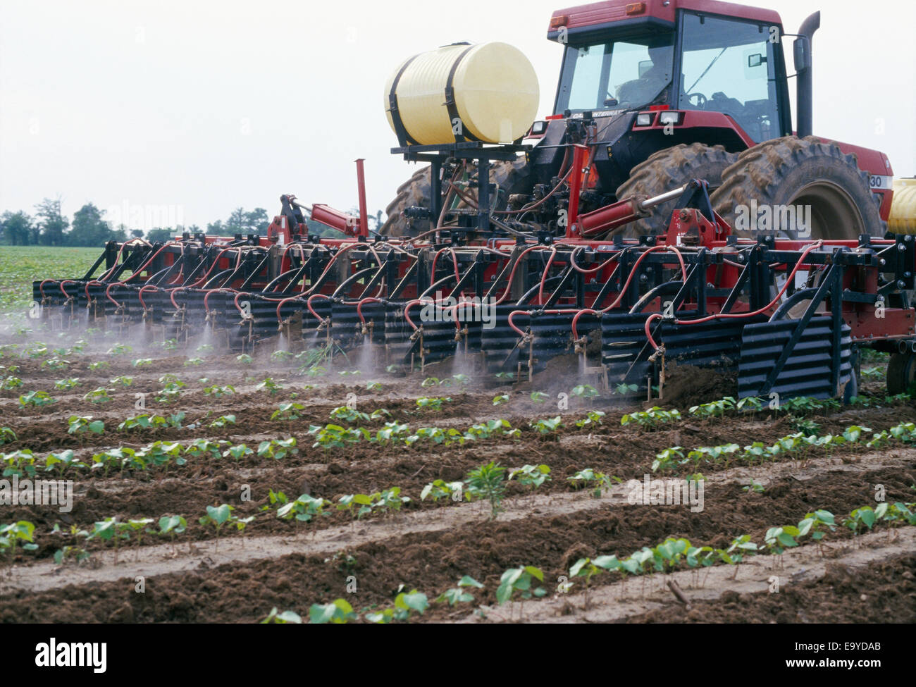 Chemical application, cultivation and ground application of herbicide ...