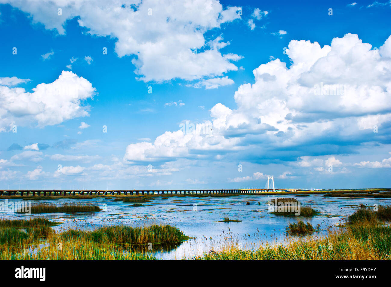 China wetland reserve daqing hi-res stock photography and images - Alamy