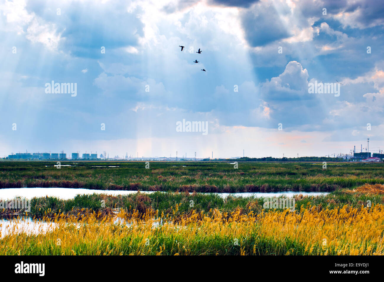 Wetland reserve heilongjiang hi-res stock photography and images - Alamy