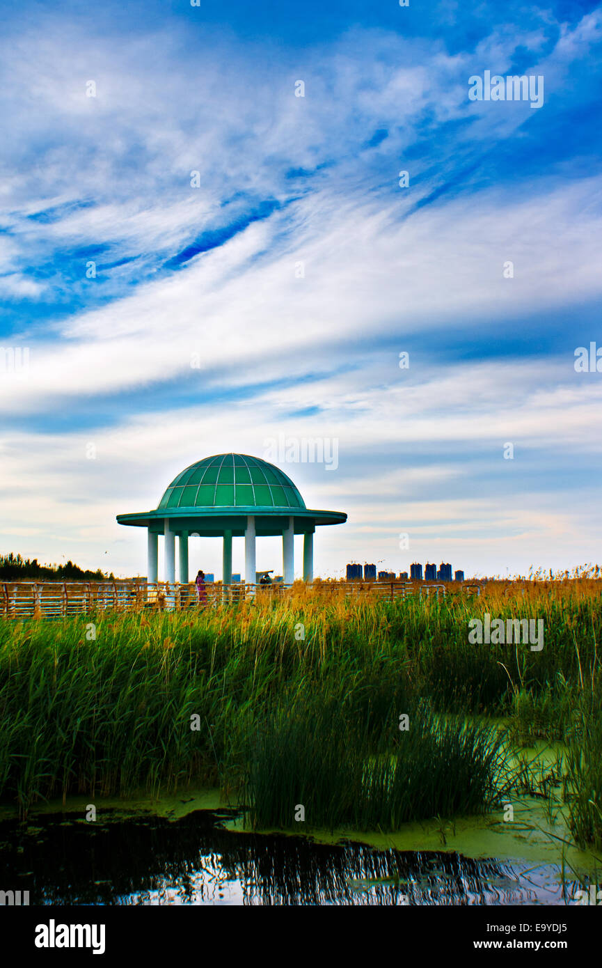 Wetland reserve daqing hi-res stock photography and images - Alamy