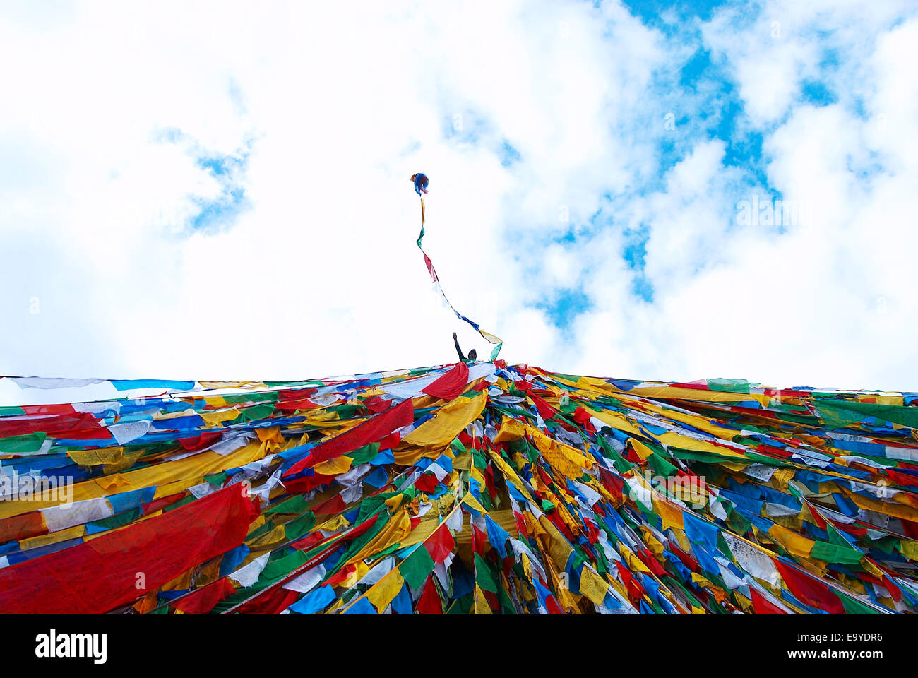 Wishing wind horse flag in Lhasa, Tibet Stock Photo - Alamy