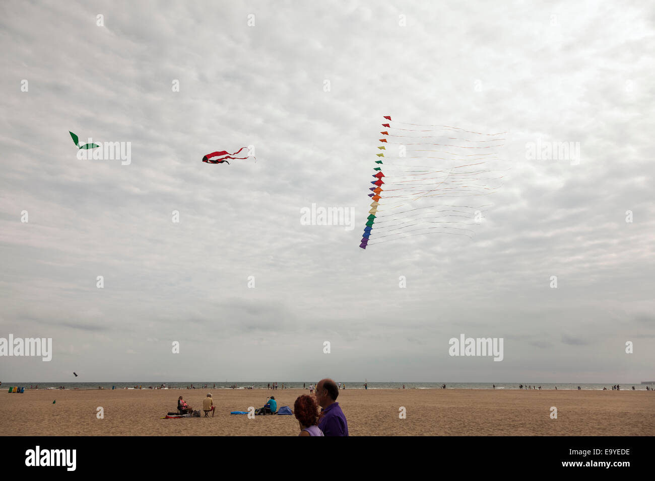 Kite flying from the beach in Valencia, Spain Stock Photo - Alamy