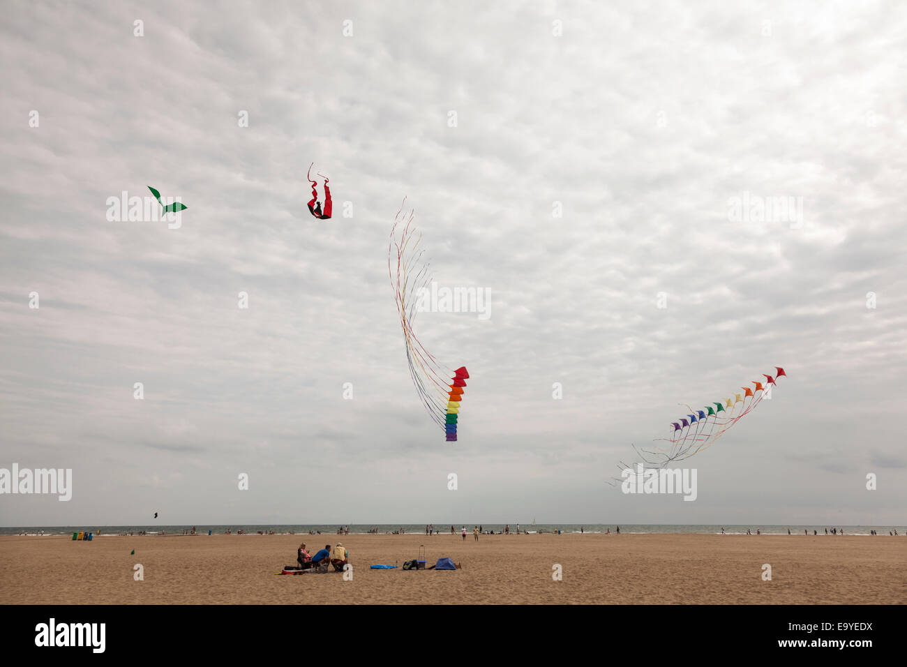 Kite flying from the beach in Valencia, Spain Stock Photo - Alamy