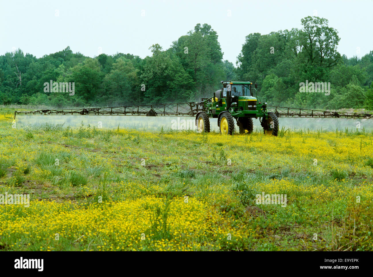 Applying burndown herbicide to a weed infested field in Spring prior to ...