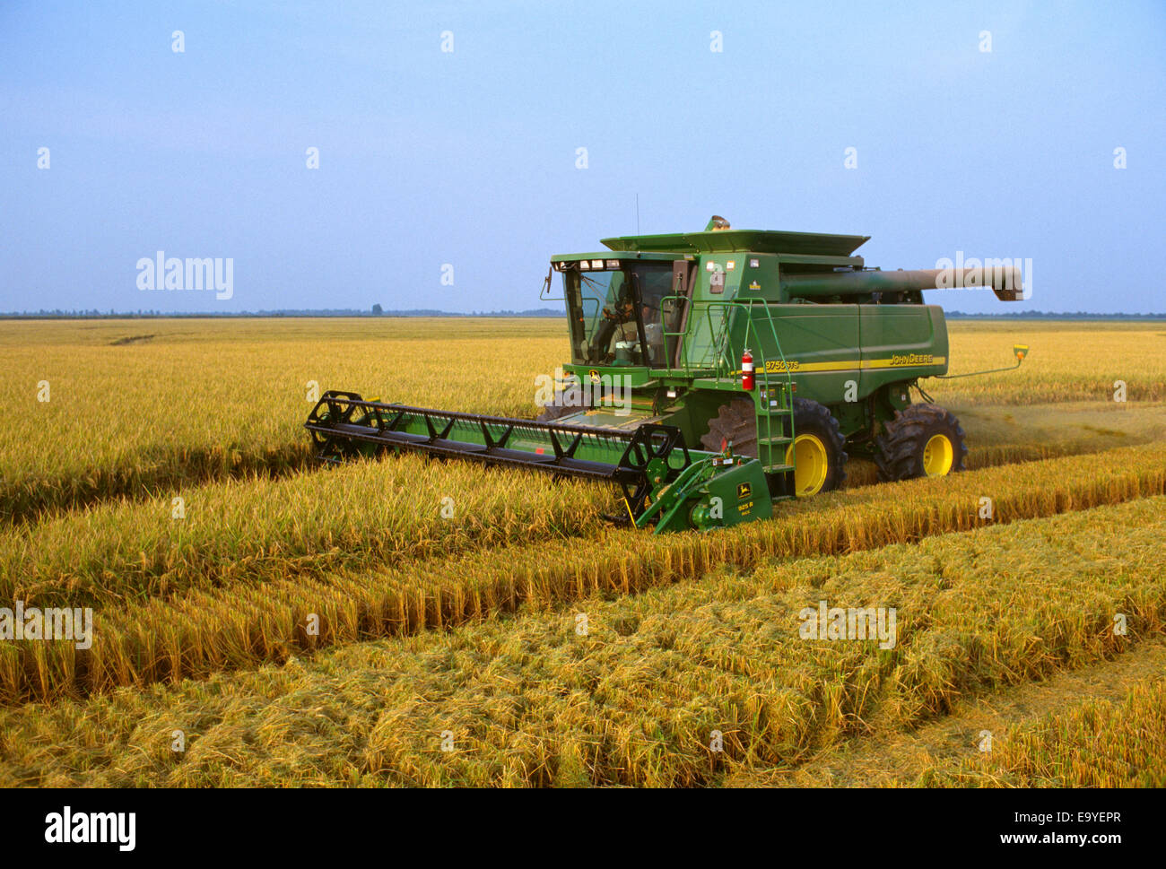 Agriculture - A John Deere combine harvesting rice / near Leland ...