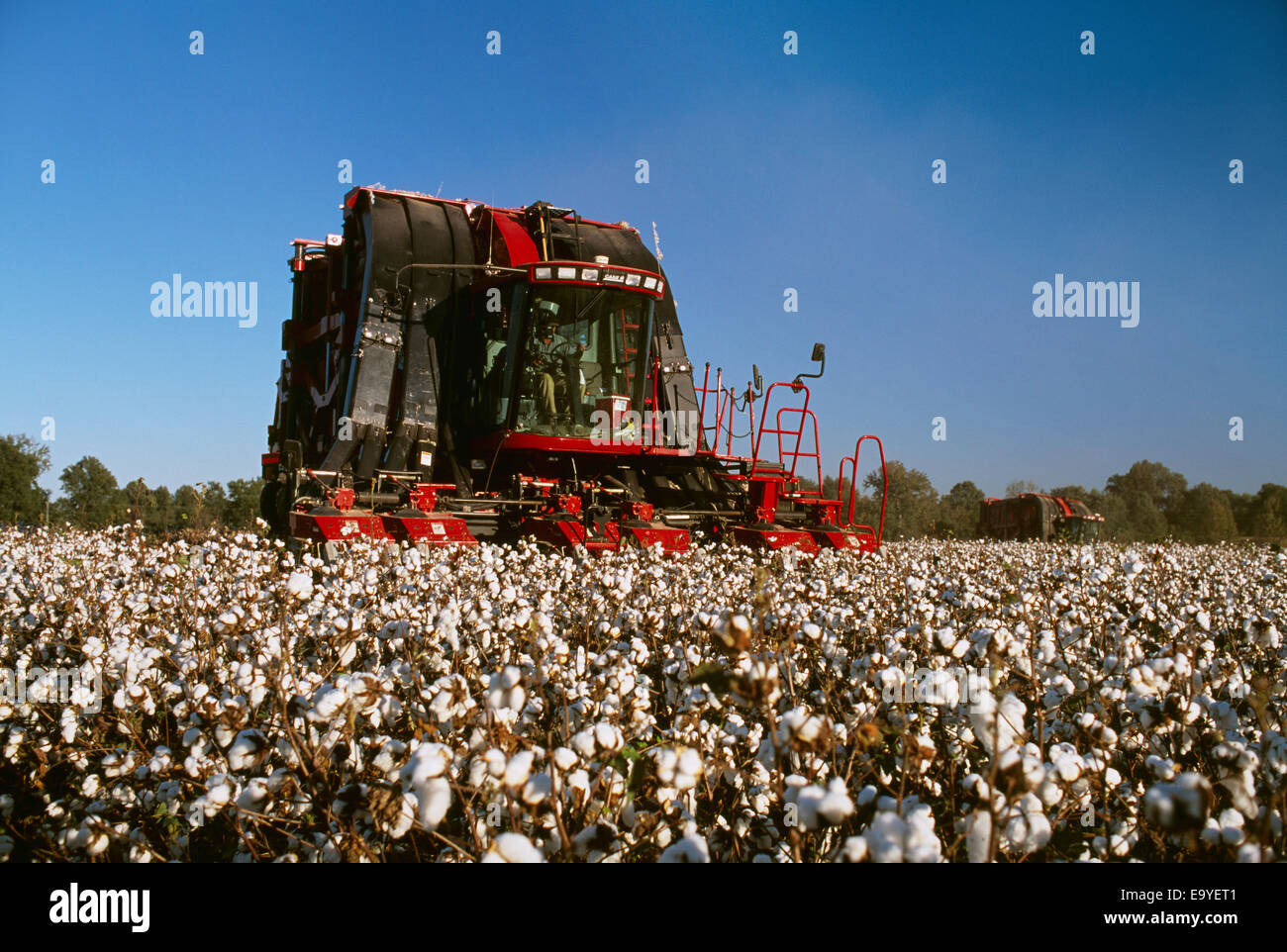 Agriculture - A Case IH Module Express 625 (on board module maker ...