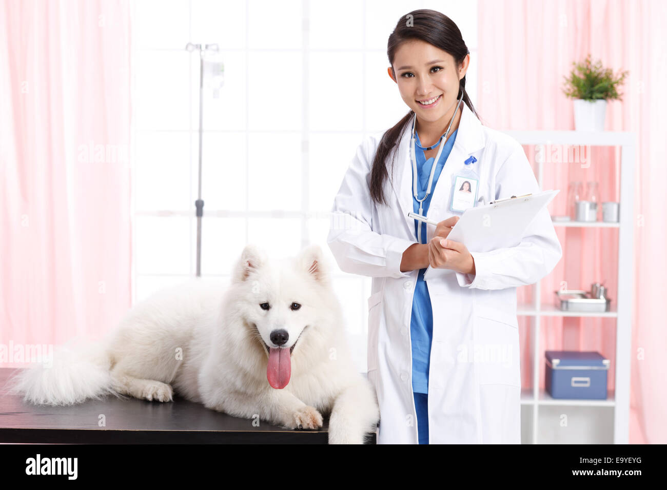 Female veterinarian hi-res stock photography and images - Alamy