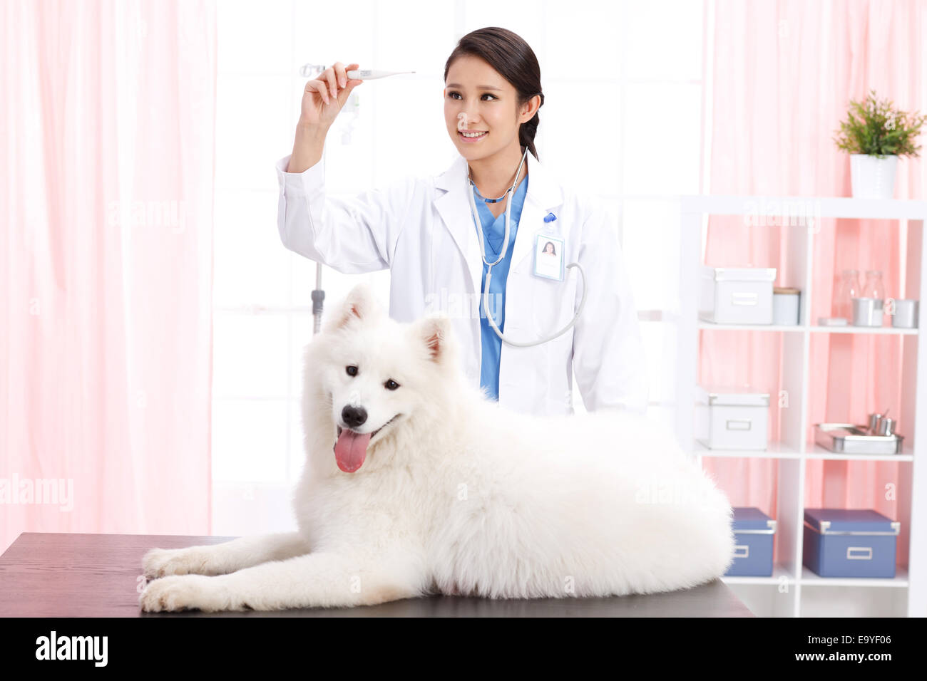 Young smiling female vet hi-res stock photography and images - Alamy