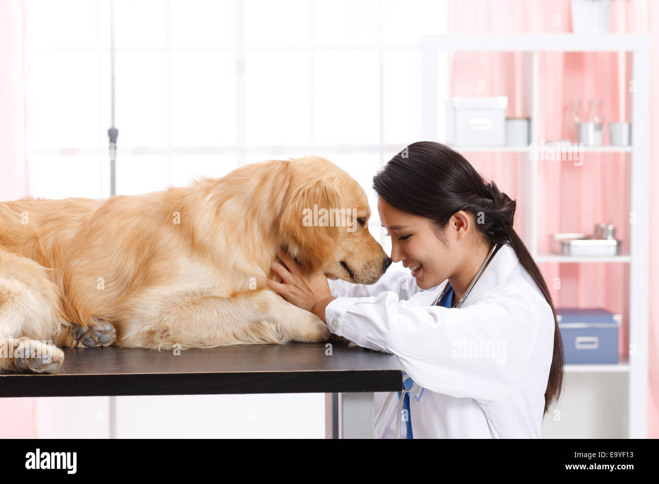 Young smiling female vet hi-res stock photography and images - Alamy