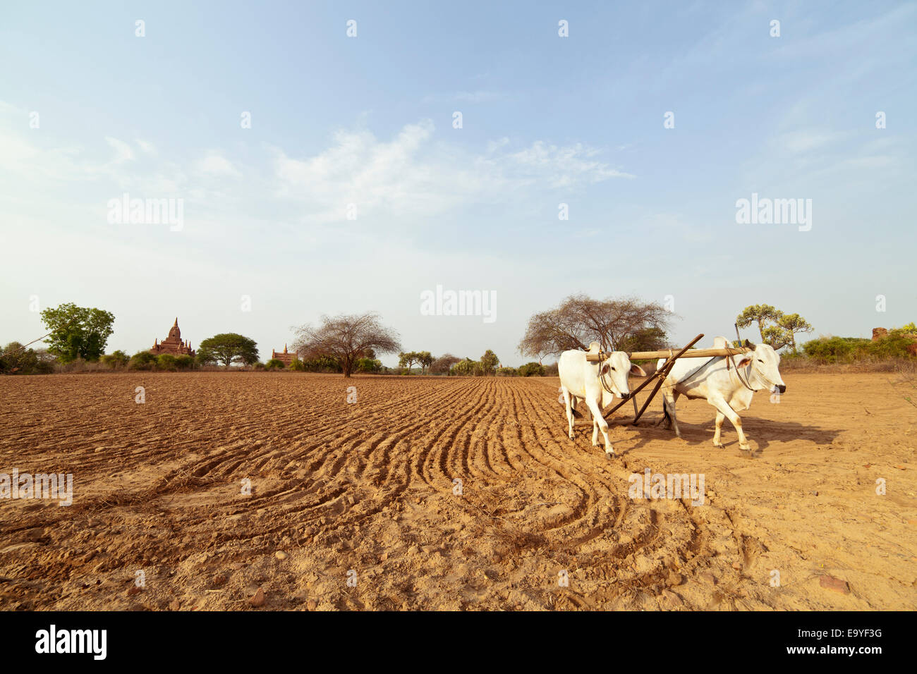 Bucolic place hi-res stock photography and images - Alamy