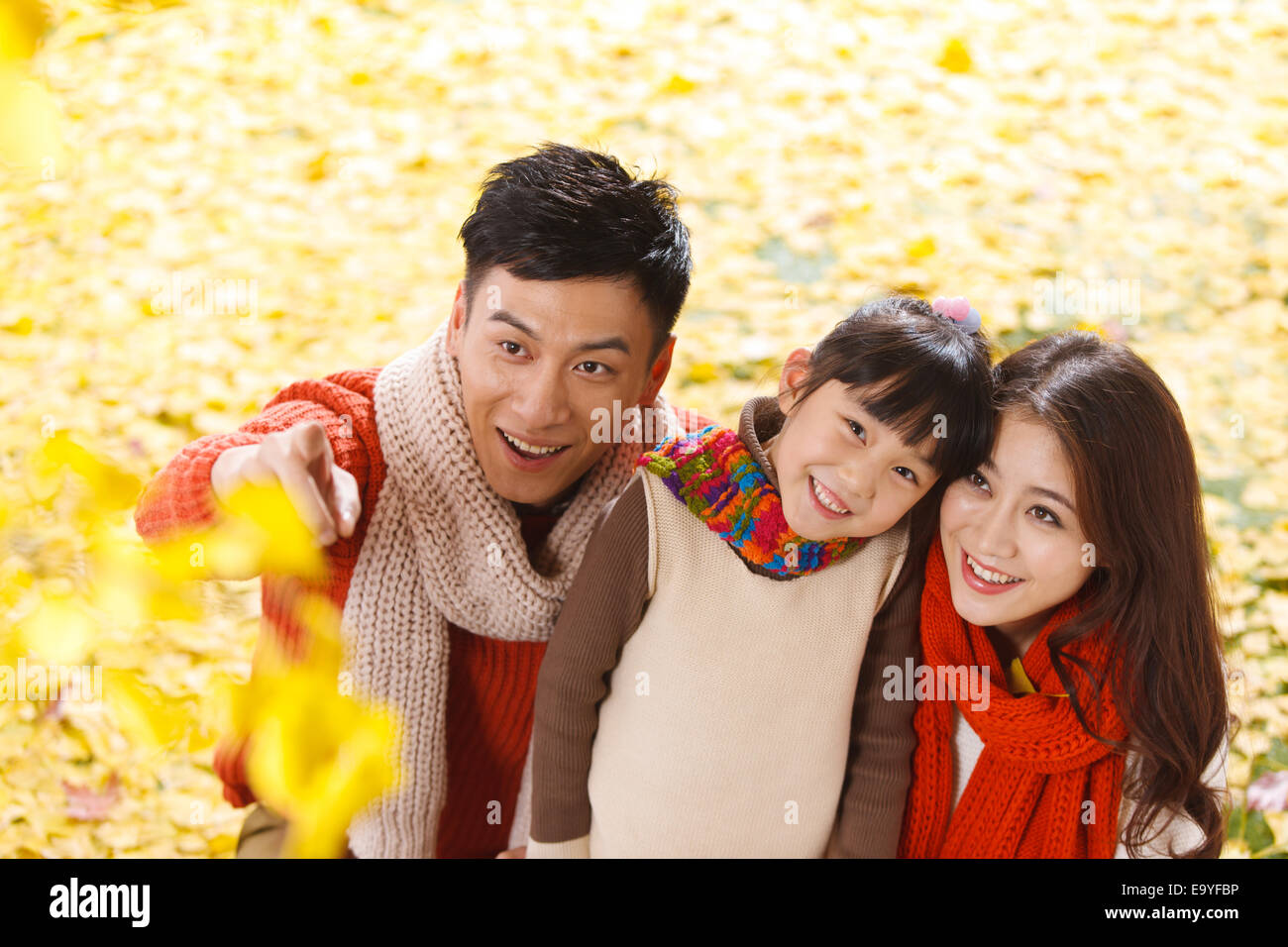 Portrait of Chinese family Stock Photo - Alamy