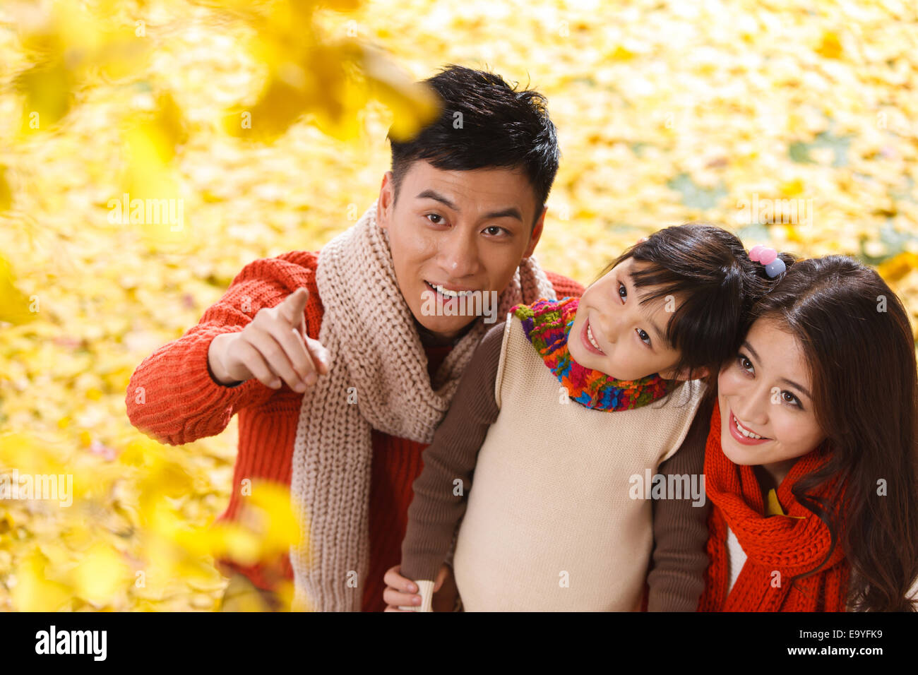 Portrait of Chinese family Stock Photo - Alamy