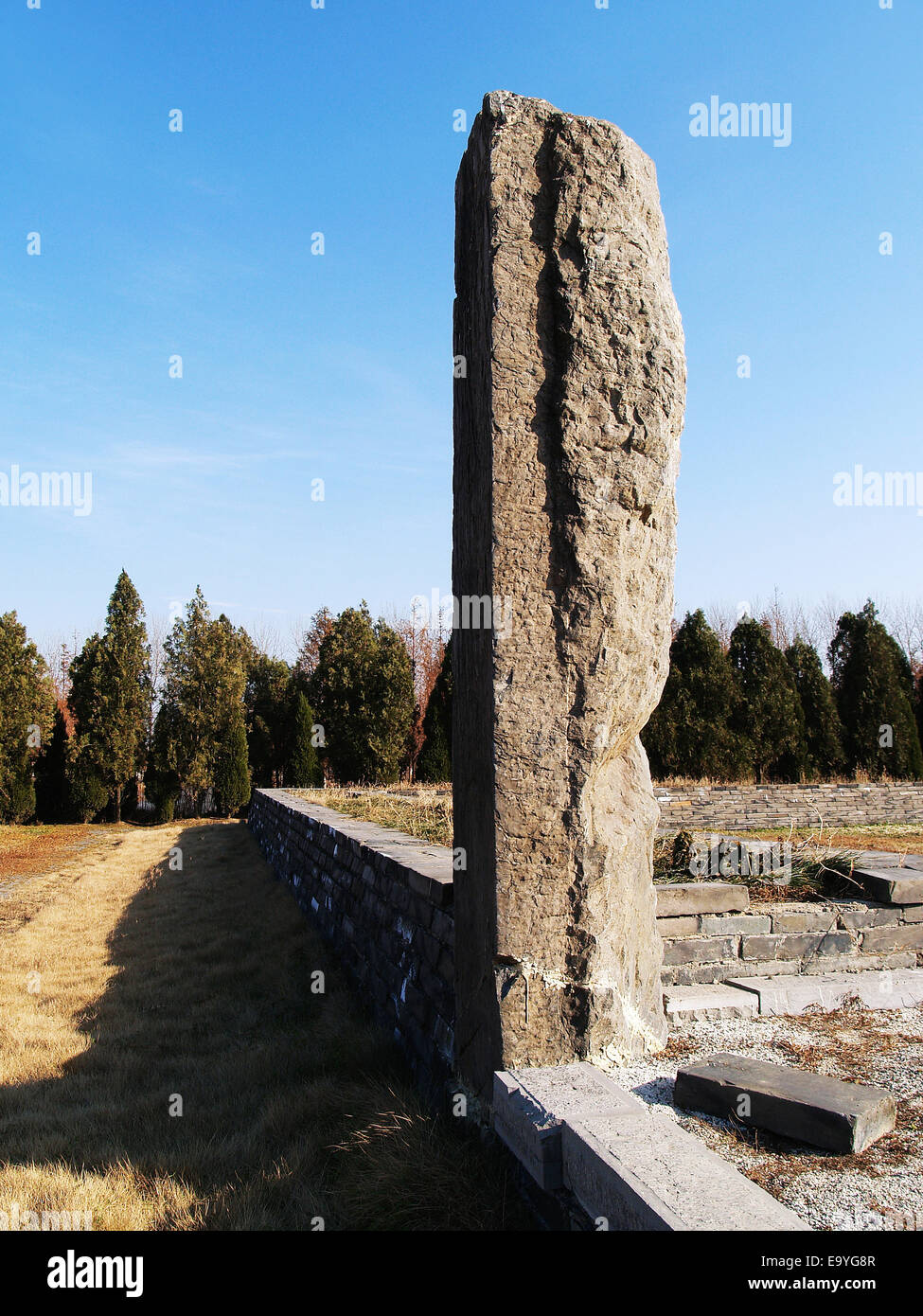 Progenitor hi-res stock photography and images - Alamy