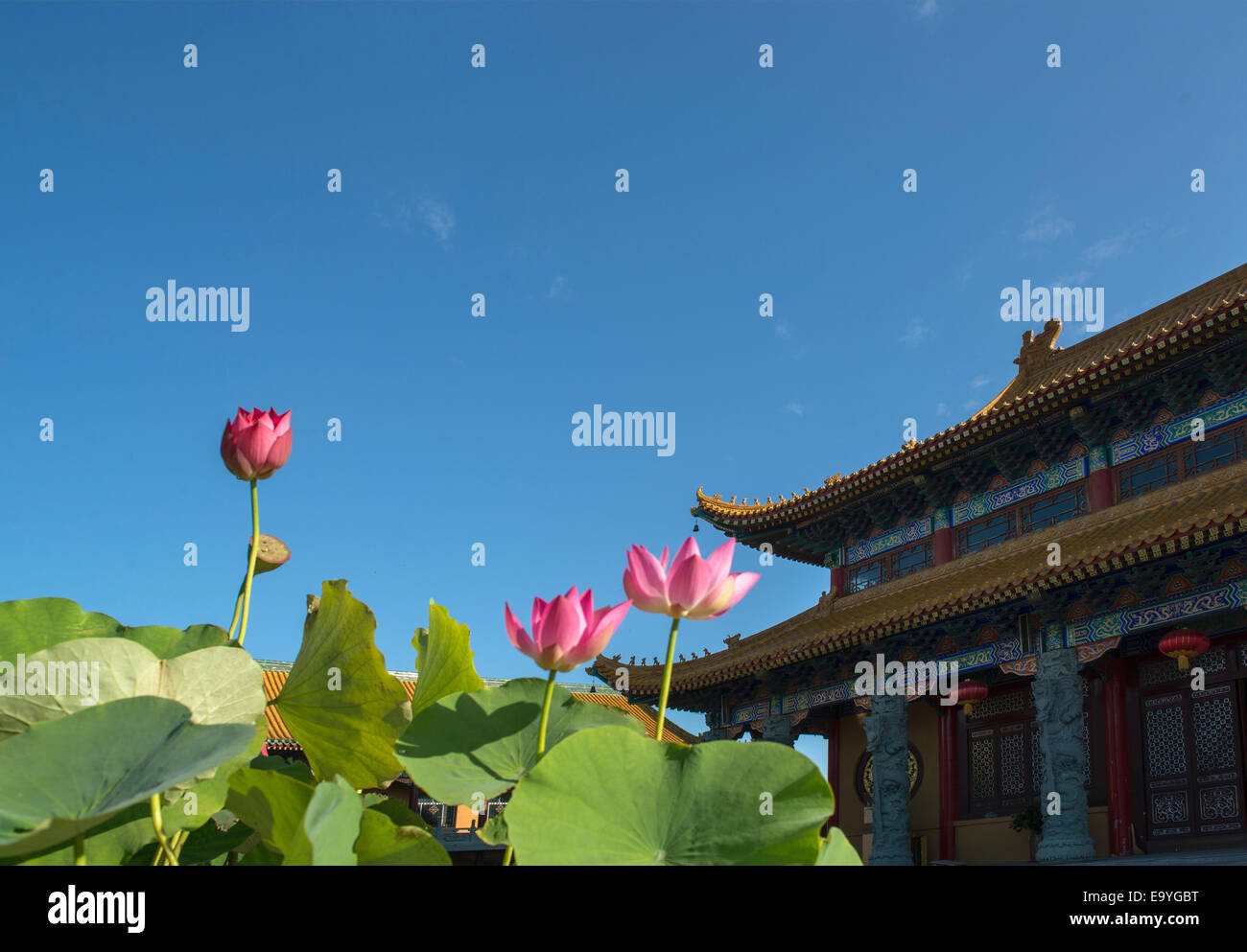 Daqing Guocheng Temple Stock Photo - Alamy