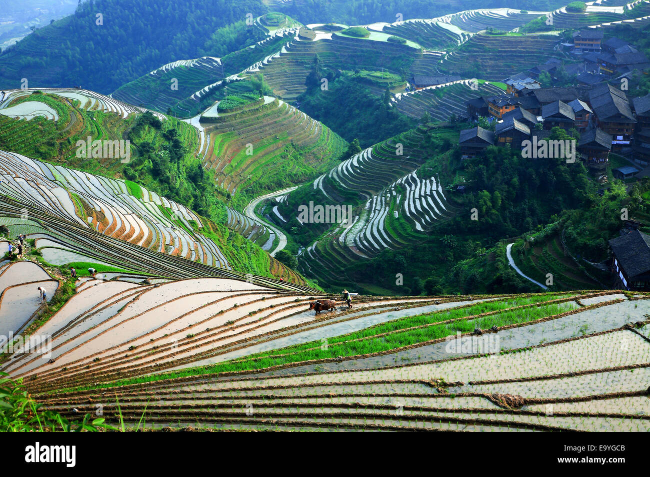Guangxi Guilin spring Stock Photo - Alamy