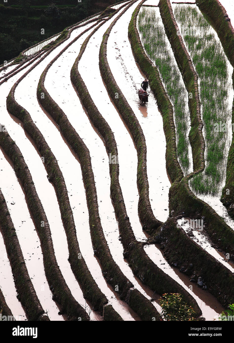 Guilin spring hi-res stock photography and images - Alamy