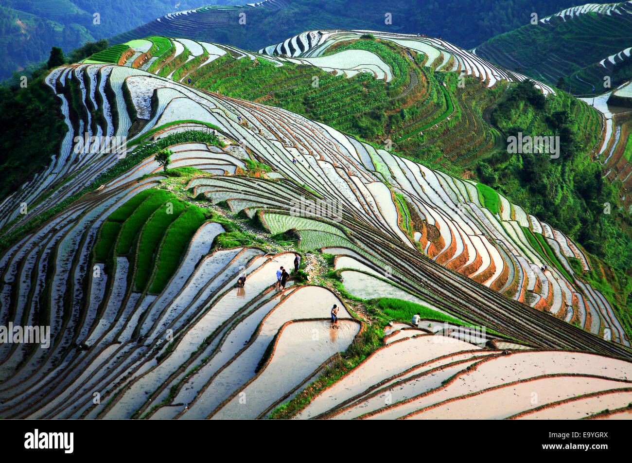 Guilin spring hi-res stock photography and images - Alamy