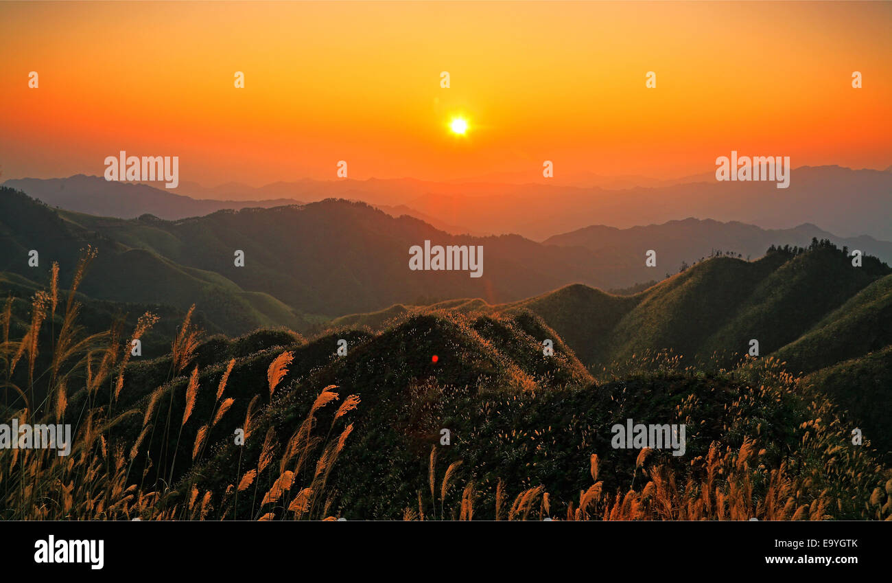 Nanning scenery hi-res stock photography and images - Alamy