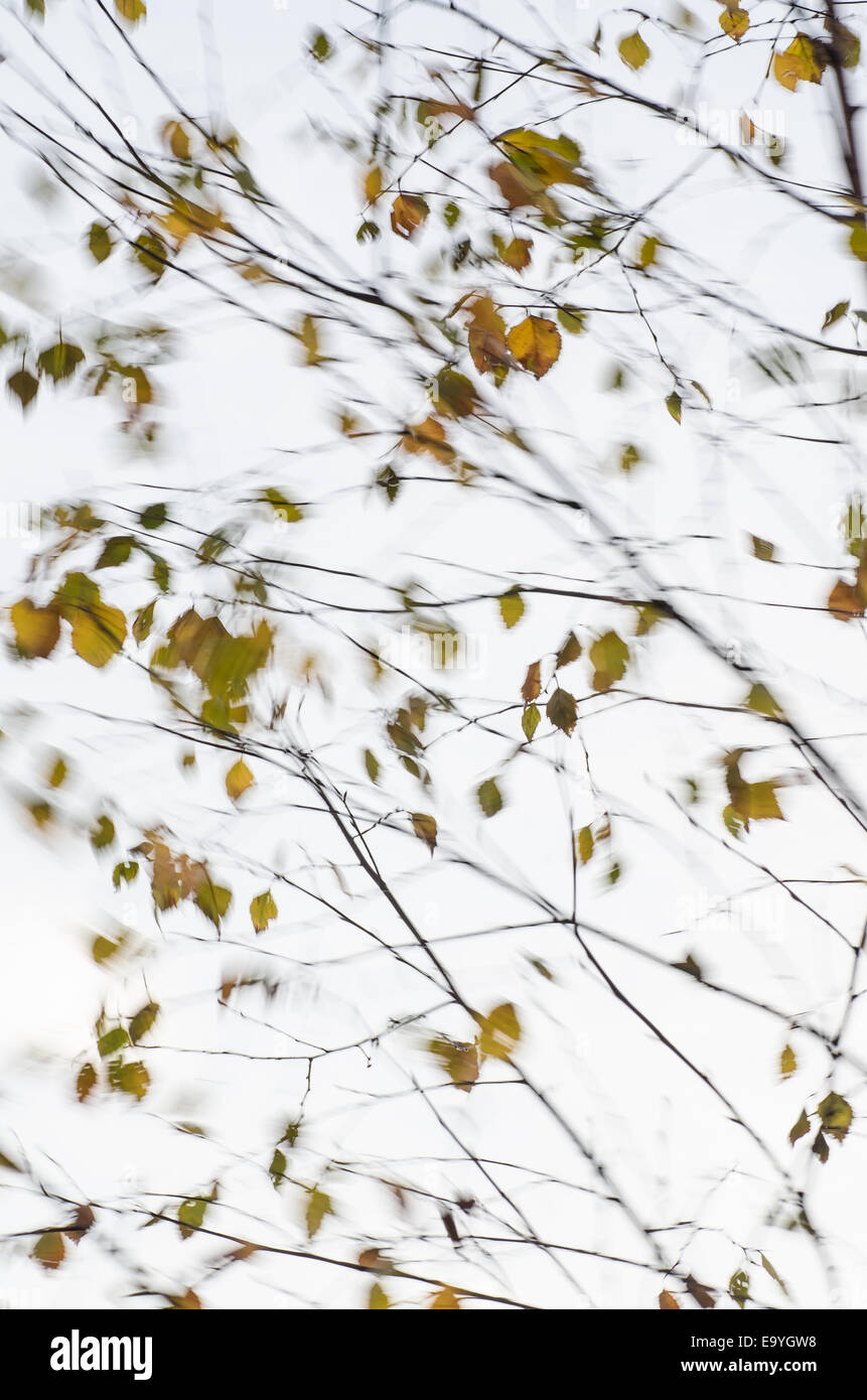 Windy weather hi-res stock photography and images - Alamy