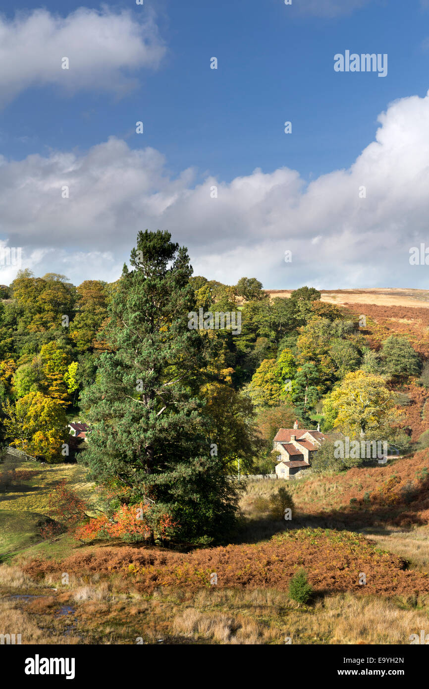 Darnholme hi-res stock photography and images - Alamy