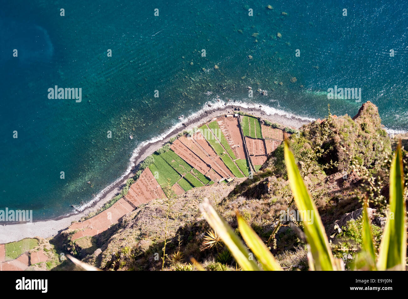 scene in portugal / island of madeira Stock Photo - Alamy
