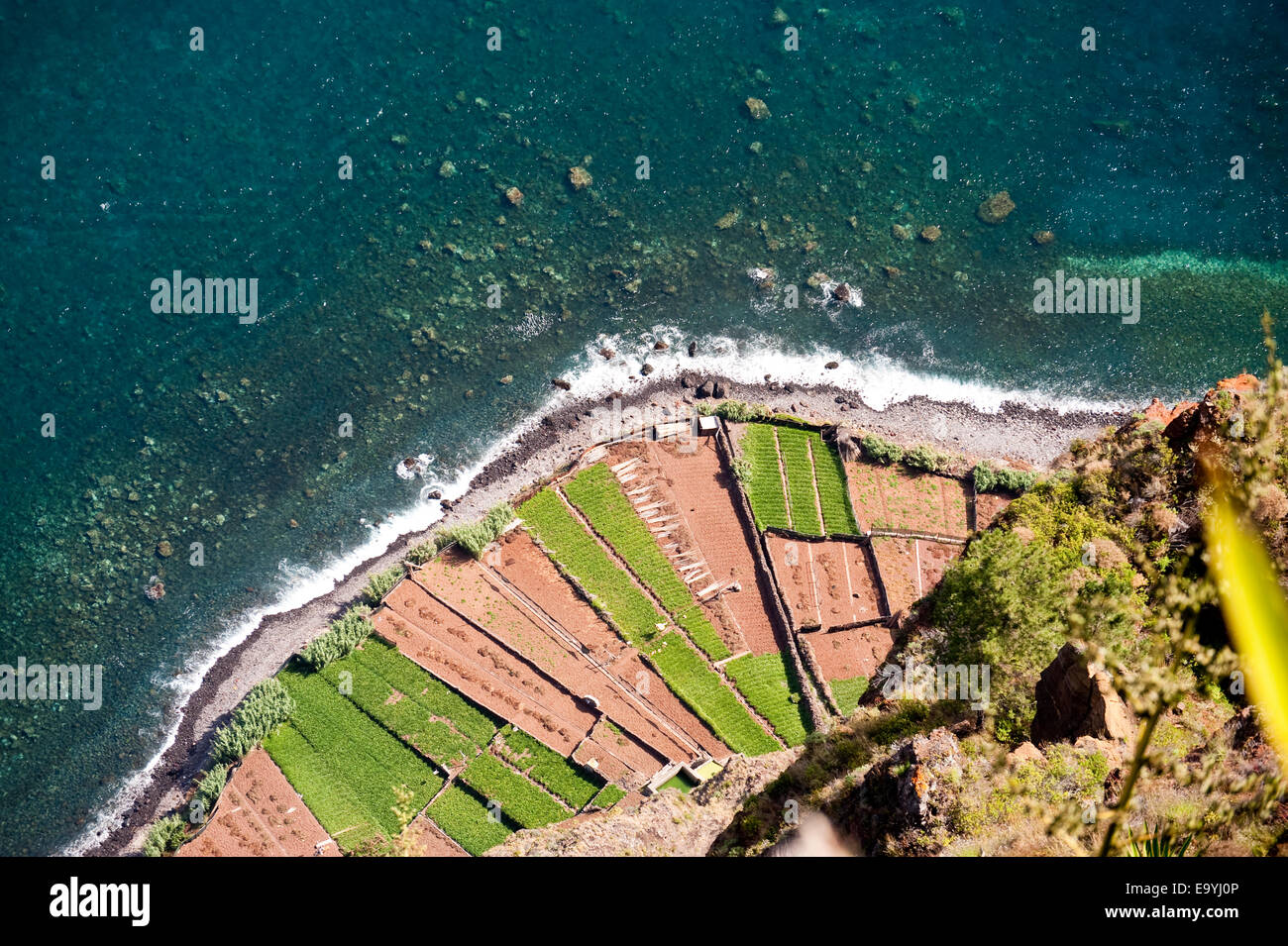 scene in portugal / island of madeira Stock Photo - Alamy