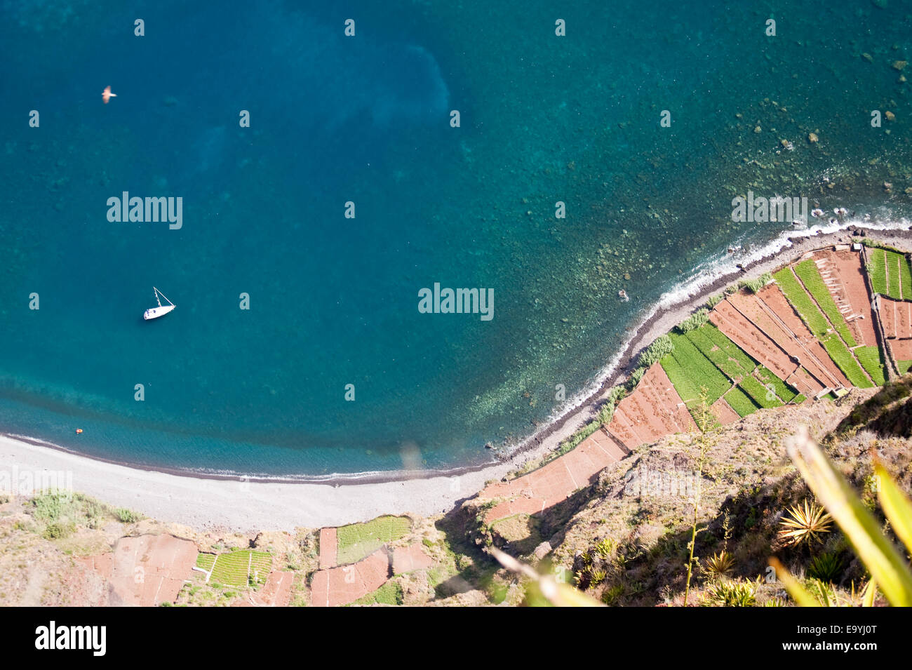 scene in portugal / island of madeira Stock Photo - Alamy