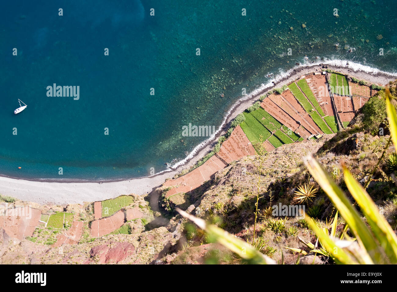 scene in portugal / island of madeira Stock Photo - Alamy