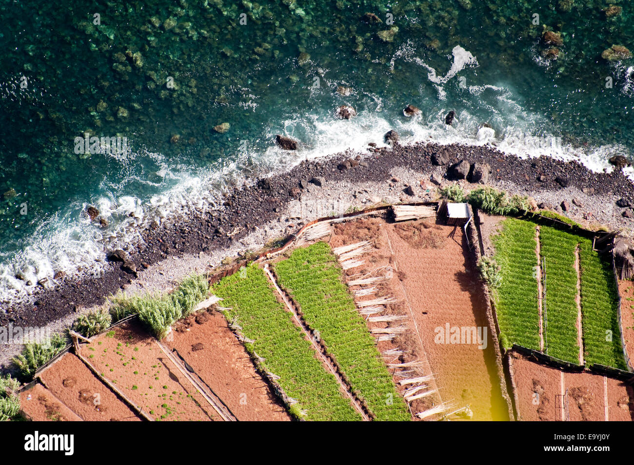 scene in portugal / island of madeira Stock Photo - Alamy