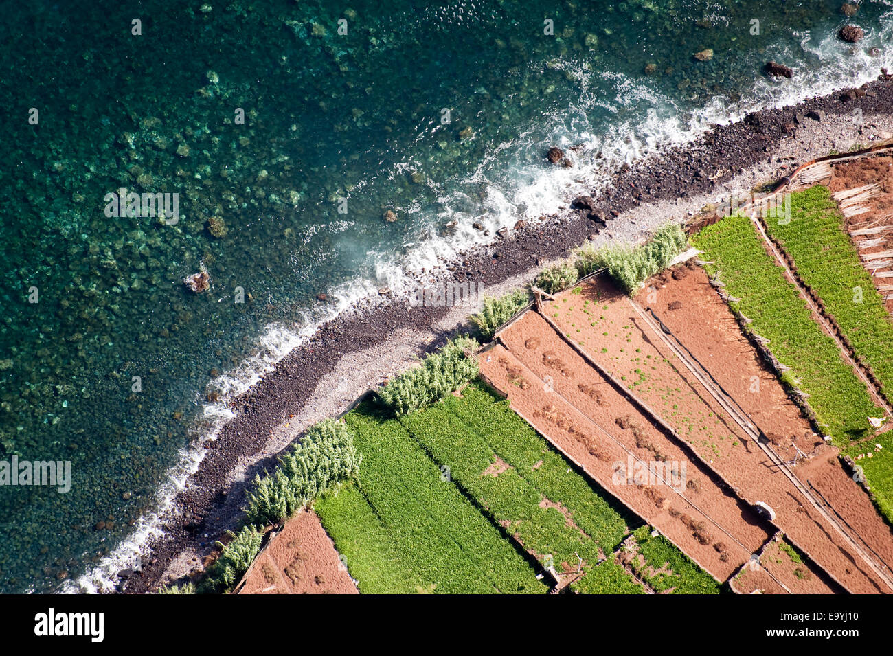 scene in portugal / island of madeira Stock Photo - Alamy